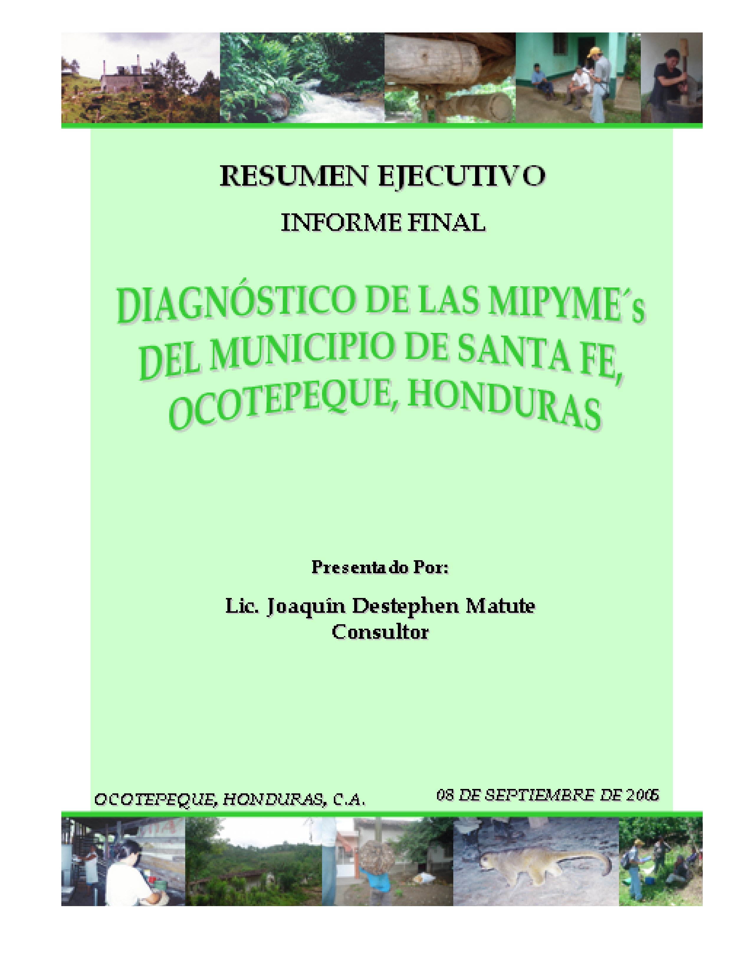 Informe final Diagnóstico de las Mipyme´s de Santa Fe Ocotepeque Honduras