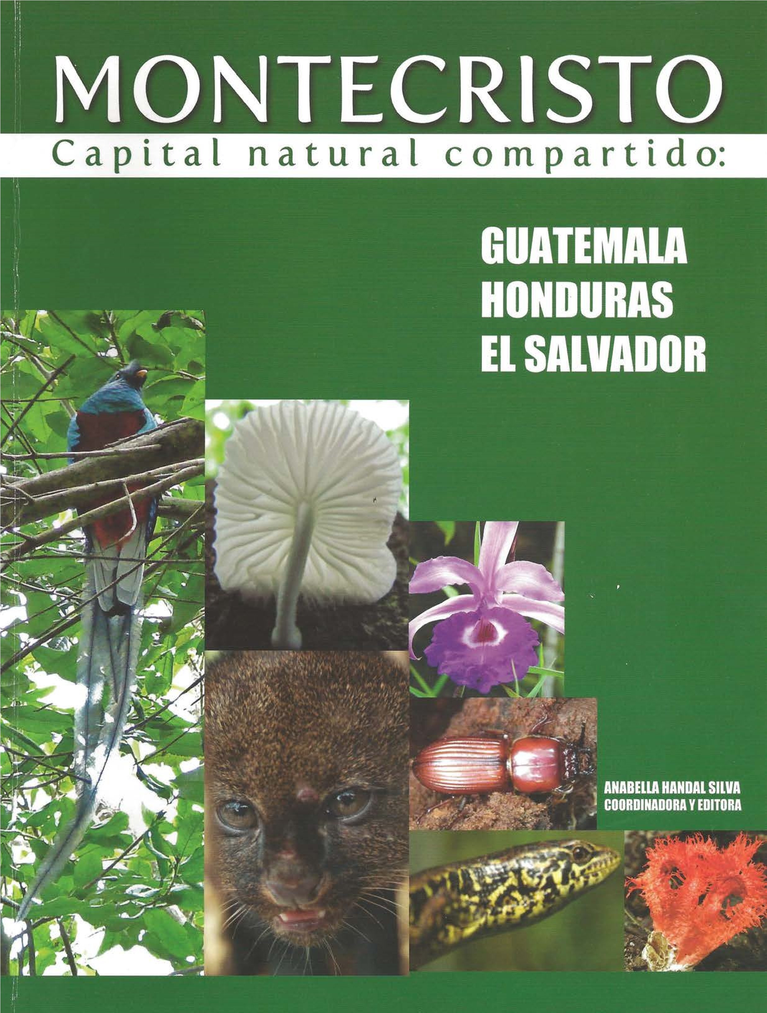Libro capital natural compartido Guatemala, Honduras y el Salvador, año ...